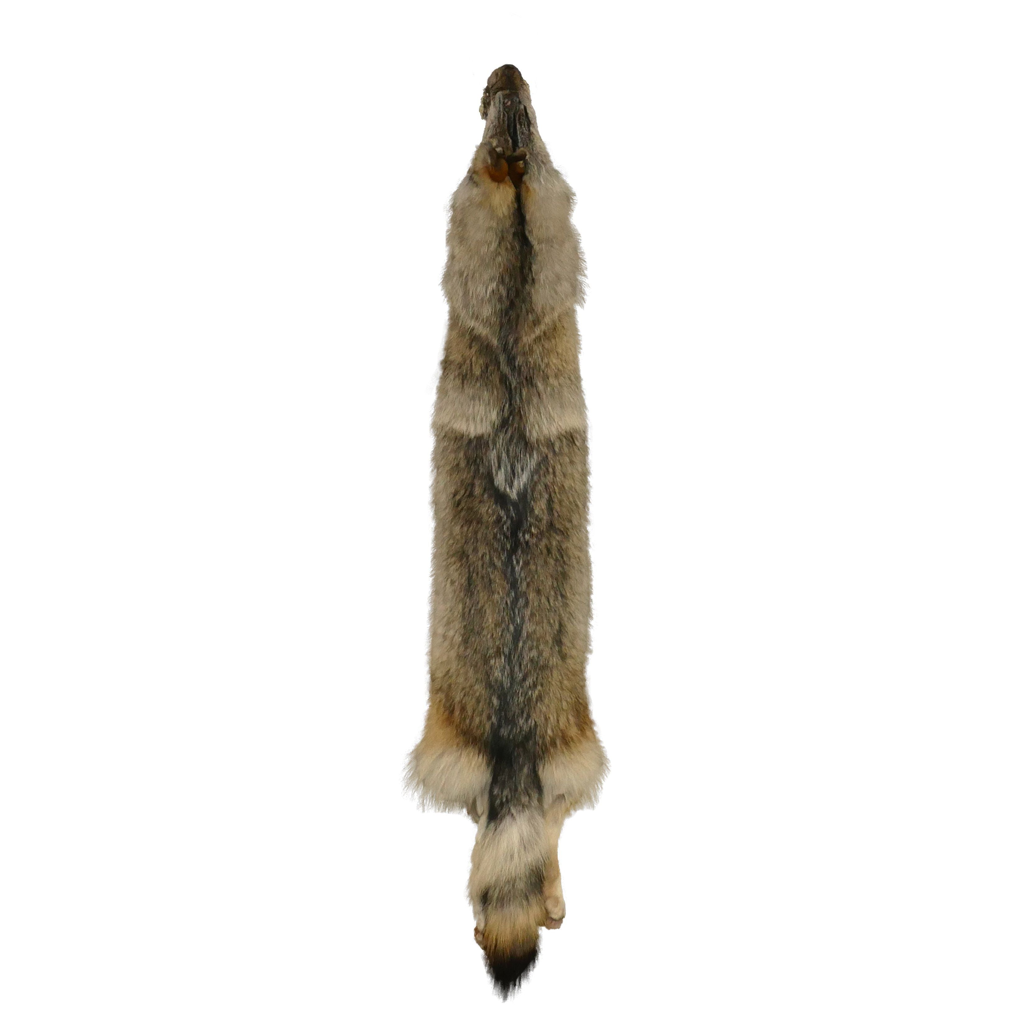 Loup – Les Artisans Indiens du Québec